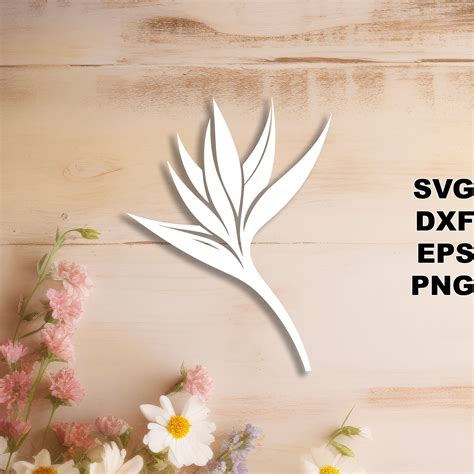 Singaporean Flora Svg Cut Files Svg Dxf Png Eps Vinyl And Paper Cut Cnc Laser Cut Svg File