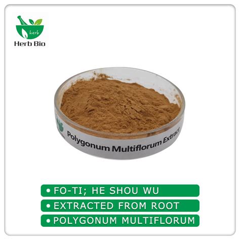 Polygonum Multiflorum Extract Supplier —— Xian Herb Bio