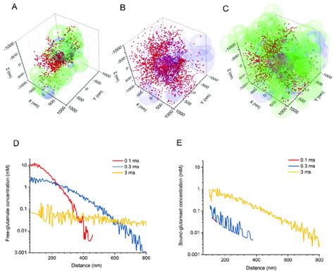 Exploring Extrasynaptic Glutamate Escape In Silico With A Stochastic Download Scientific