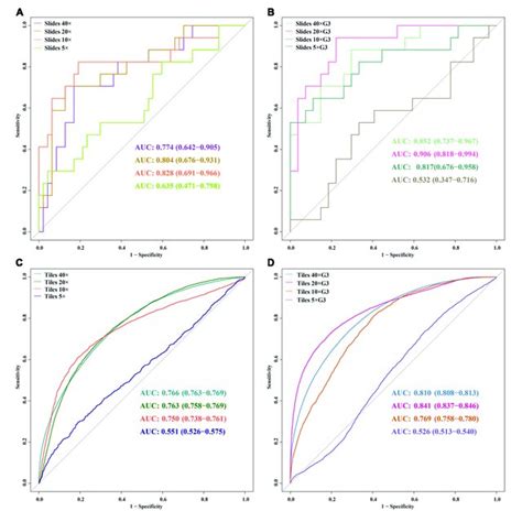 Roc Curves Of 5 Dl Models For Slides And Tiles At ×40 ×20 ×10 And
