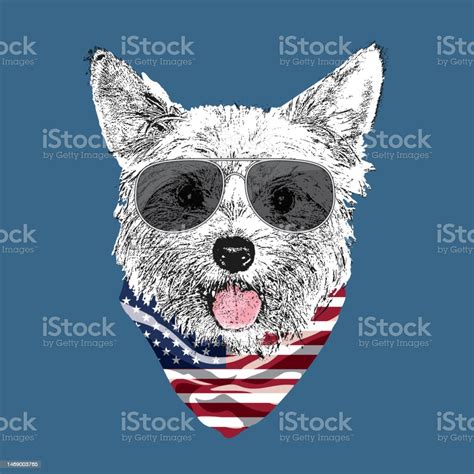요크셔 테리어 초상화 안경과 미국 국기 두건에 귀여운 멋진 개 벡터 일러스트 레이 션 T 셔츠에 대한 스톡 벡터 아트 및 기타
