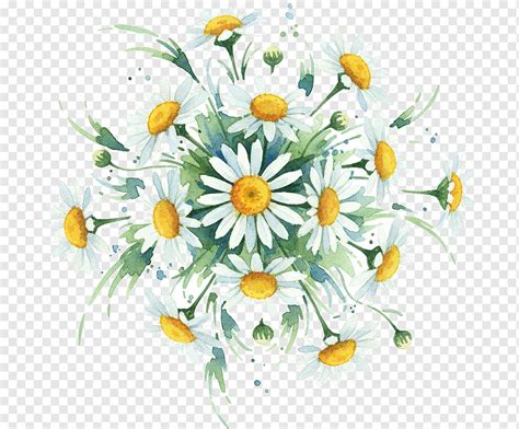 Watercolor Bullseye Daisy Cluster In Dynamic Composition Png Designed