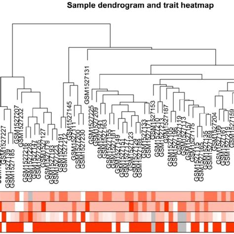 Samples Clustering To Detect Outliers Gse62452 Sample Dendrogram And
