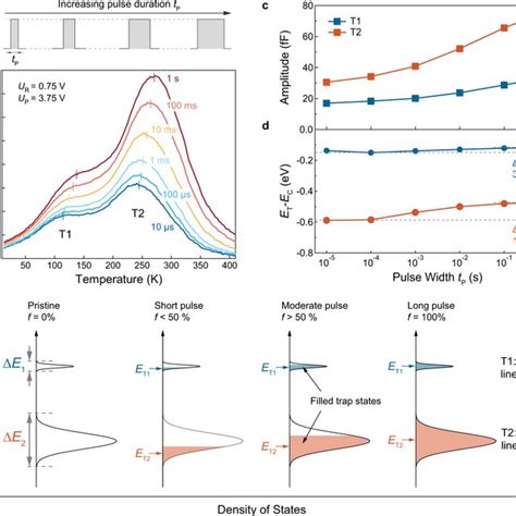 Device Configuration For Deep Level Transient Spectroscopy Dlts Download Scientific Diagram
