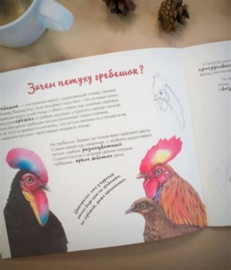 Книга: Петух и Ко - Наталья Габеева. Купить книгу, читать рецензии ...