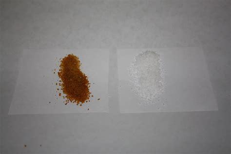 Radiation Effects — Taylor Wilson