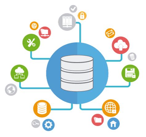 Database SQL 명령어 종류