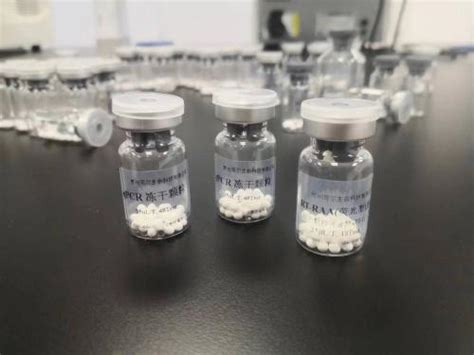Rpa Lyophilized Pellet High Quality Rpa Lyophilized Pellet On