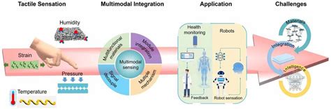 Overview Of Multimodal Tactile Perception Including Tactile Sensing