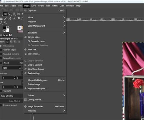 Duotone Cyanotypes 3 Make Negatives Using GIMP AlternativePhotography Com