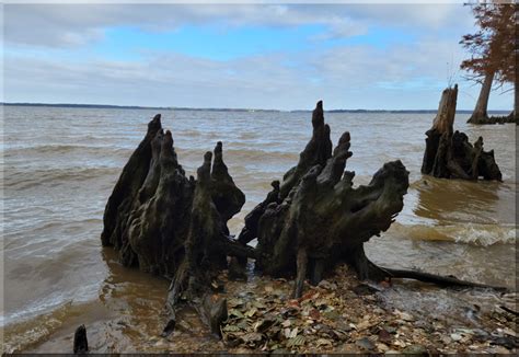 Pipsico Fossil Dig October 2022