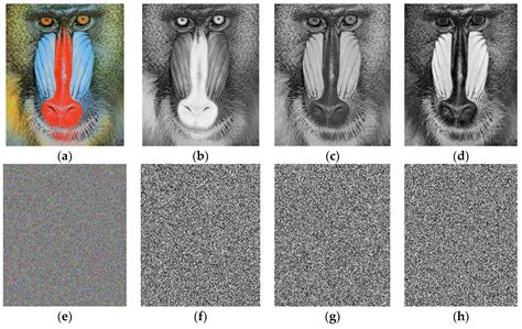 a new efficient digital image encryption based on inverse left almost