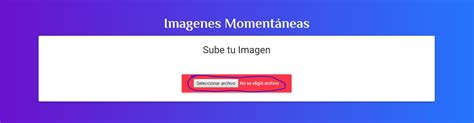 css Cómo modifico un input de tipo file Stack Overflow en español