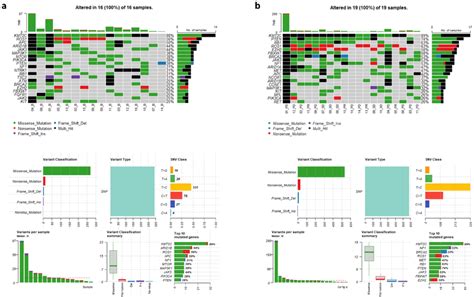The Top 20 Most Frequently Mutated Genes In Individual Metastatic Download Scientific Diagram