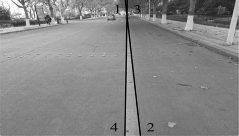 Self Supervised Online Correction Sample Map Download Scientific Diagram