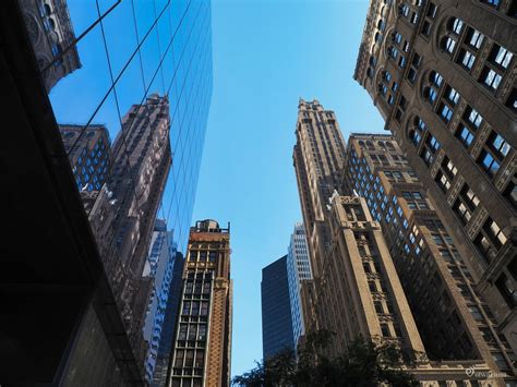 Photo Agata Dalach Otwarium