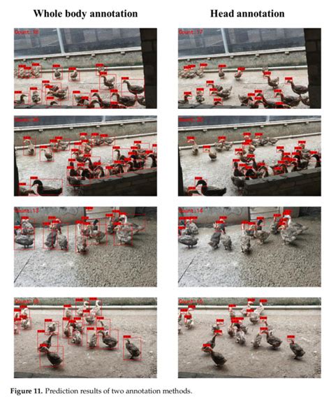 Yolov7农业方向应用｜基于注意力机制改进的yolov7算法cbam Yolov7 极市开发者社区