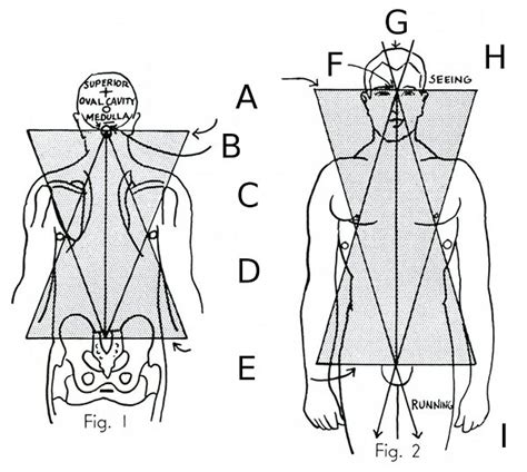 Polarity Chart Ponasa