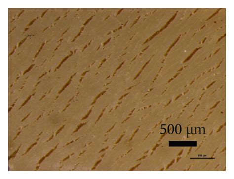 The Digital Sight Of Rubber After Ozone Aging For 6 H A Raw Nr B