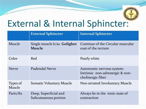 Ppt By Dr Anil Kumar Assitant Professor Aiimspatna On Anal Fissure And Fistula In Ano Ppt