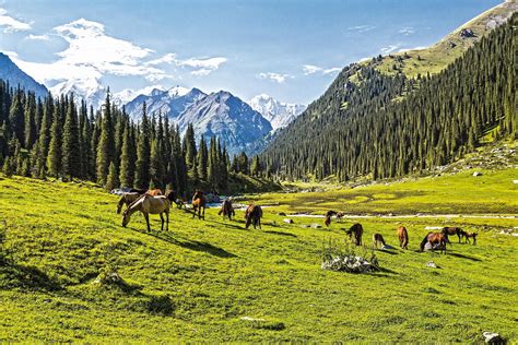Kirgistan Trekking Himmelsgebirge Tien Shan Pamir Daks › Daks