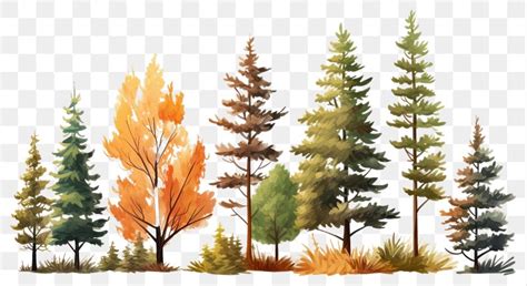 Cartoon Tree PNG Images Free Photos PNG Stickers Wallpapers Backgrounds Rawpixel