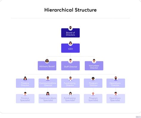 Types Organizational Structures With Examples ClickUp