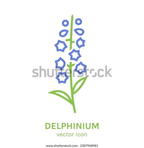 Delphinium Nuttallianum Over 1 Royalty Free Licensable Stock Vectors And Vector Art Shutterstock