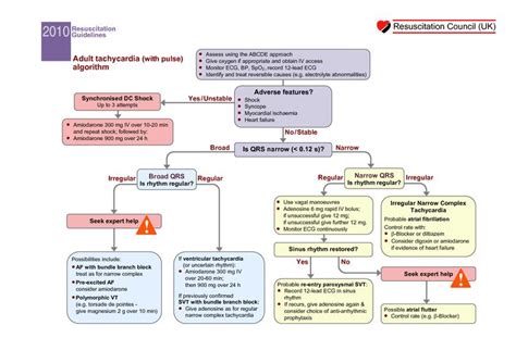 Algorithm Guidelines First Aid