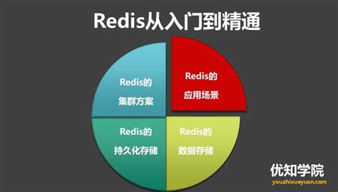 详解redis的存储类型、集群架构、以及应用场景 优知学院