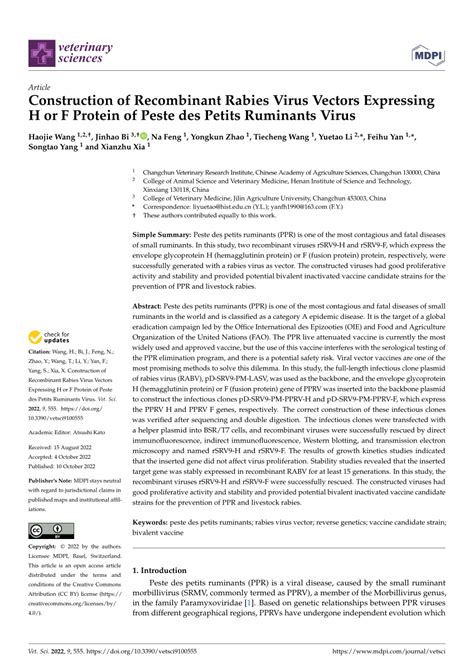Pdf Construction Of Recombinant Rabies Virus Vectors Expressing H Or F Protein Of Peste Des