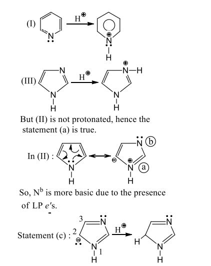 Pyridine I Pyrrol Ii Imidazole Iii Which One S Is Are True