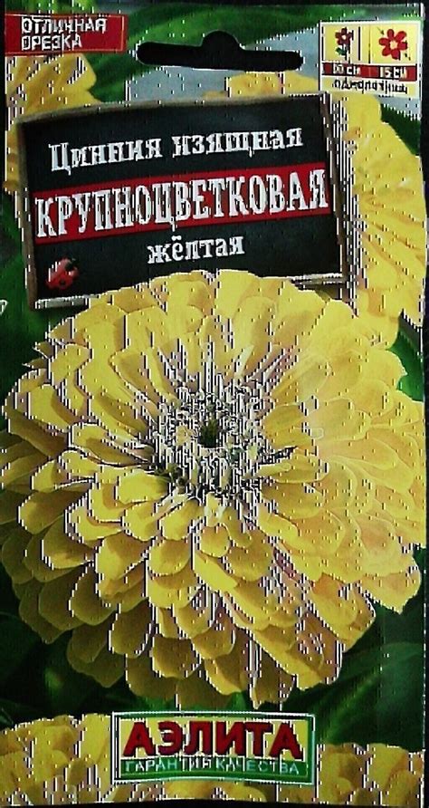 Семена цветов :: Цинния изящная крупноцветковая - От посадки до уборки