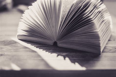 The Essential Features Of Ontology Philosophy Nest