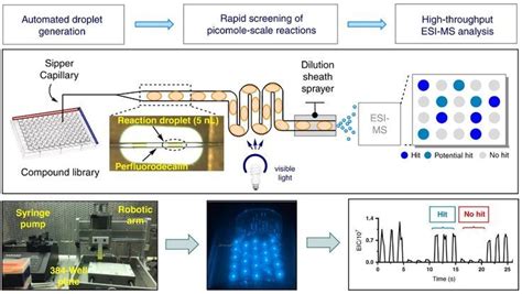 High Throughput Droplet Microfluidic Compound Library Artofit