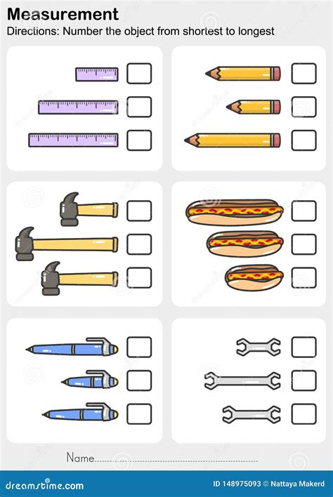Measurement Worksheet Number The Object From Shortest To Longest Stock Vector Illustration