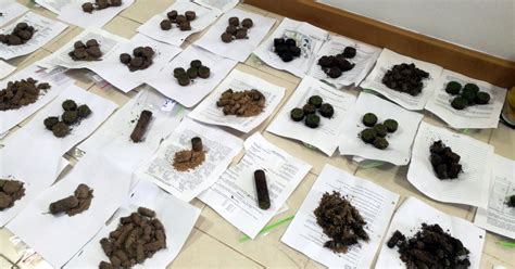 Atc Soil Testing Newsletter Sign Up