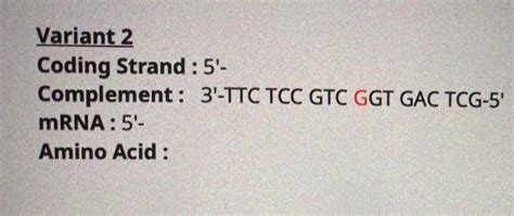 Solved Variant 2 Coding Strand 5 Complement 3 Ttc Tcc