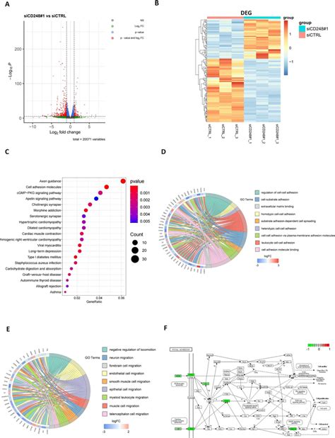 Cd248 Was Involved In Multiple Cell Adhesion And Migration Pathways
