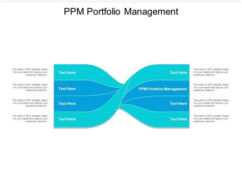 Ppm Portfolio Management Ppt Powerpoint Presentation Background Images Cpb