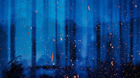 Python App Development In Depth Guide For Product Owners Mobidev