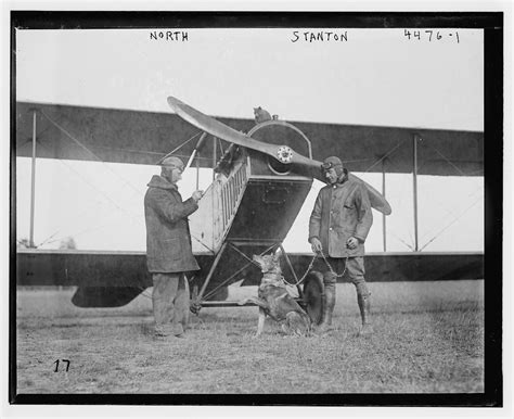 Cats Through History On Tumblr