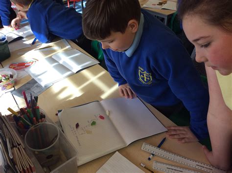 Y4 Classification Science Blog