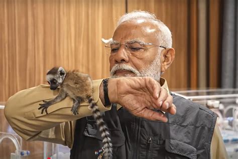 Anant Ambani Vantara Pm Modi Inaugurates Vantara Pm Modi In Vantara News