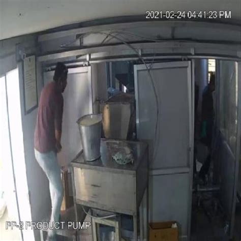 Testing Object Detection Dataset By Mybackoffice