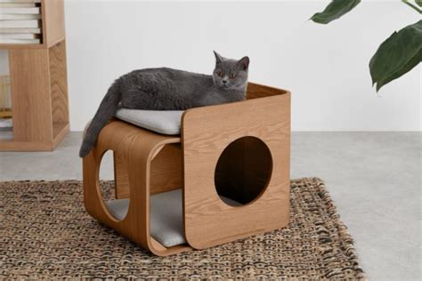 20 Best Luxury Cat Beds You Can Buy Online In 2022