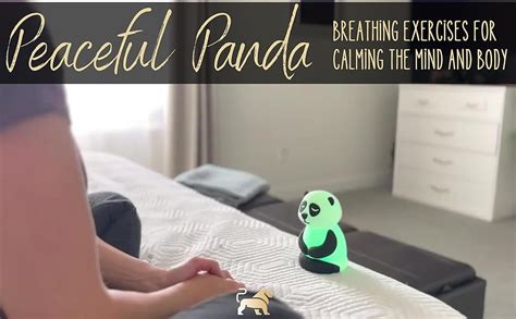Calm Collective Peaceful Panda Breathing Trainer Light For