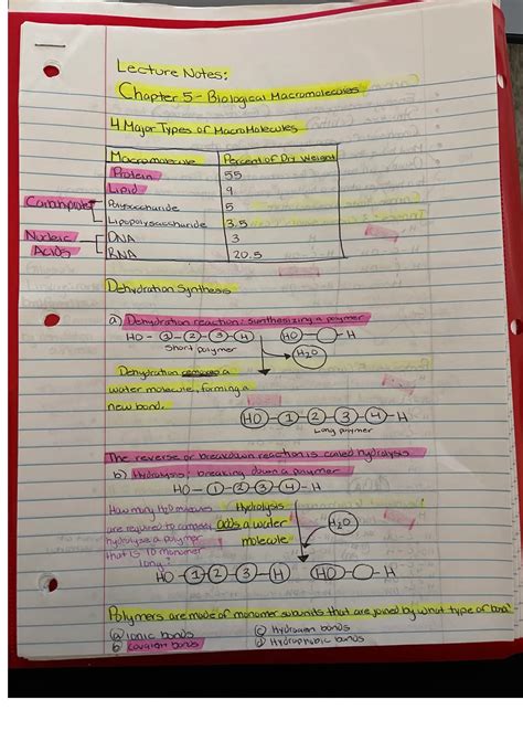 Chapter 5 Structure And Function Of Large Biological Molecules Biol 105 Biol105 Stuvia Us