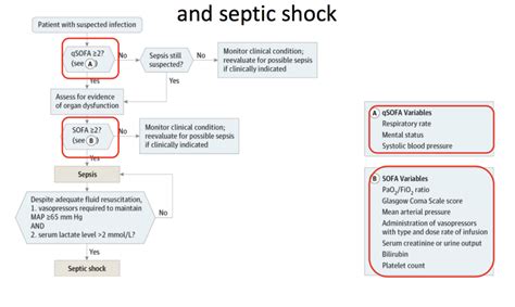 Sepsis Pathophysiology Diagram