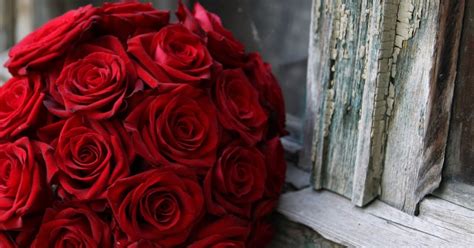 خلفيات ورد احمر جميل